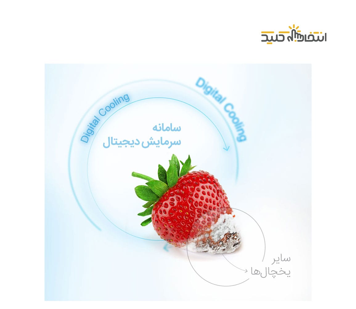 یخچال ساید بای ساید دوو سری فرشلند مدل پارامو D2S-3133GW